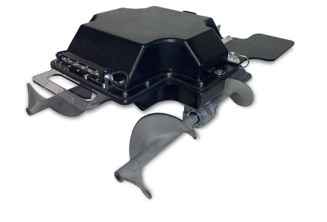 Grain Weevil | RoboActu